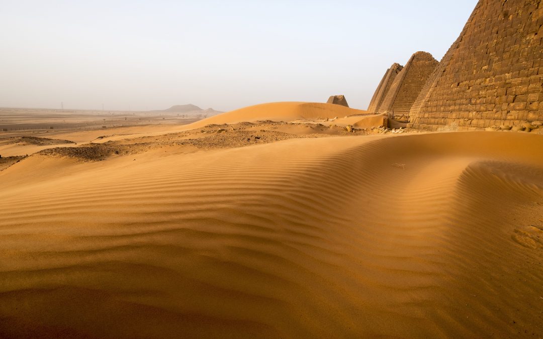 Wayamo Projects - Wayamo Foundation